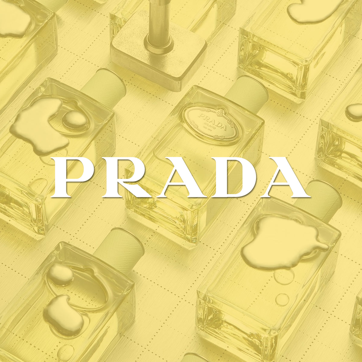 PRADA – Fresh